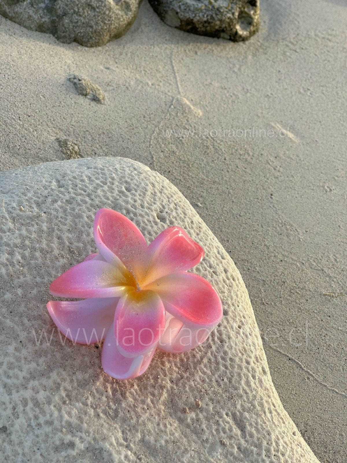 Amarra cabello Flor Hawái rosa